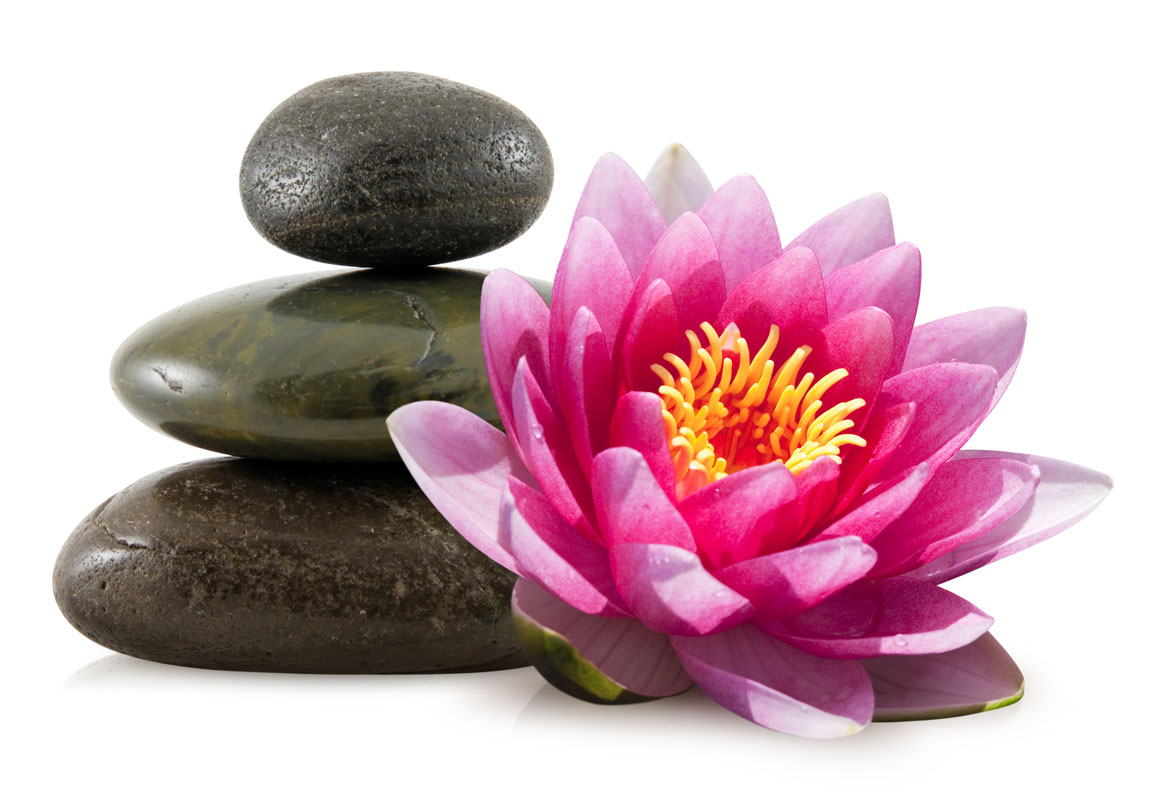 Five Element Acupuncture » Resting Point Acupuncture | Acupuncture in ...